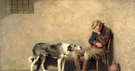 개는 왜 존재만으로 위로가 될까