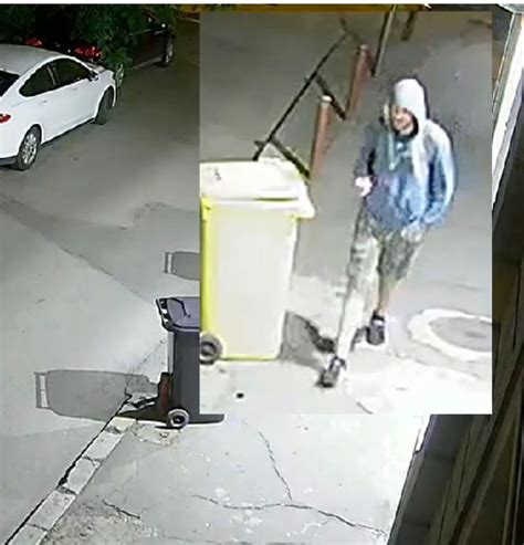 Poliția din Timișoara dă primele imagini cu criminalul care a ucis doi