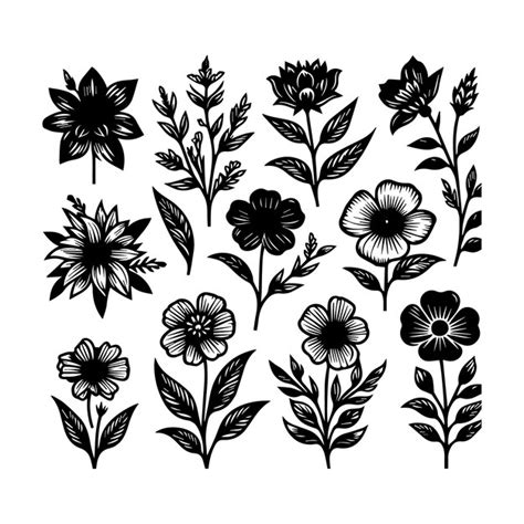 Flowers Set Vector Silhouette Illustration Abstract Flower Shapes And
