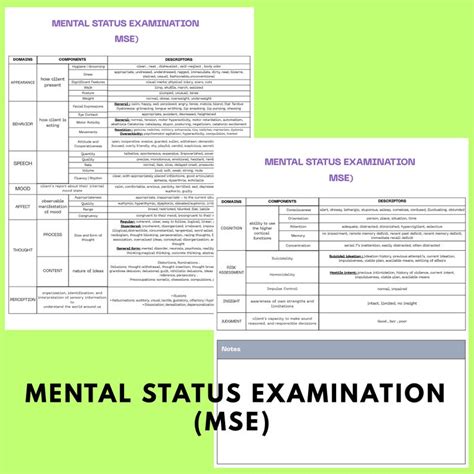Mental Status Examination Mse Complete Word Reference And Selected