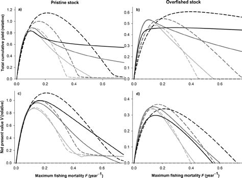 Total Cumulative Yield A B And Net Present Value Npv V C D Download Scientific