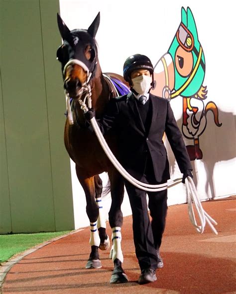 3月15日船橋競馬⭐︎ダイオライト記念⭐︎優勝⭐︎グロリアムンディ⭐︎次走平安s 公式：黒澤ひかりのキラキラ日記～magic Kiss