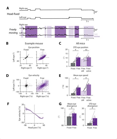 Eye Movements Measured In Freely Moving Mice A Example Of Bilateral