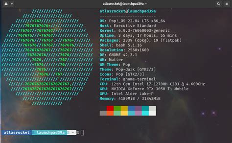 installed font not accessible · issue 235 · andresgongora synth shell