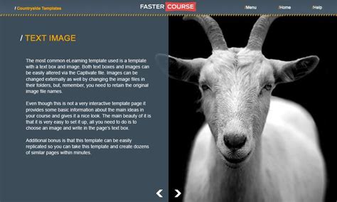 Adobe Captivate Templates Captivated Templates Text Image