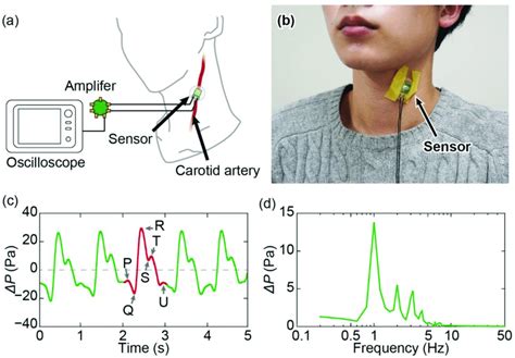 A Illustration And B Photograph Of Measurement Of Pulse Wave Using