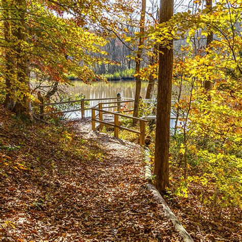 James River National Wildlife Refuge The Best Part Of Virginia