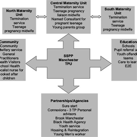 Overview Of The Structure Of Sspp In Manchester Download Scientific