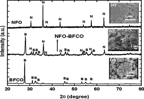 Xrd Patterns Of Nfo Bfco Composites The Inset Displays Sem Pictures Of Download Scientific