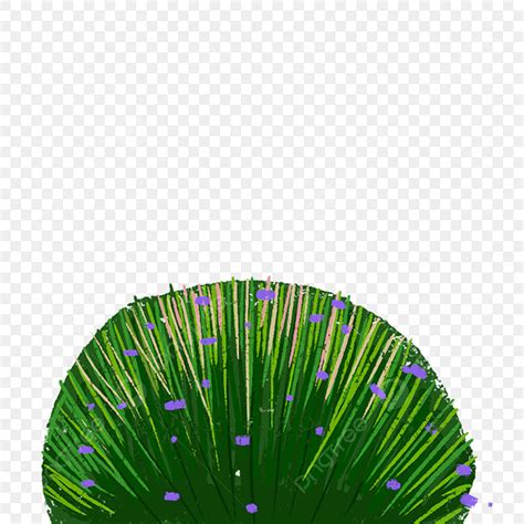 Bush Green Clipart Vector Spring Green Bushes Download Spring Plant