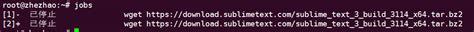 Linux 进程前台后台切换把某个pid 进程弄到前台 Csdn博客
