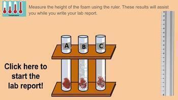 Babe Designed Enzyme Lab In Person And Digital Versions TPT