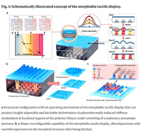 [figure]height Renderable Morphable Tactile Display Enabled By