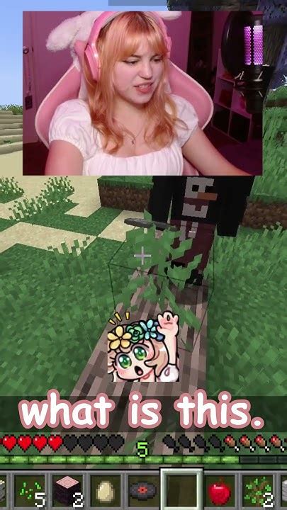 Ninjago Music Disk Minecraft Shorts Youtube