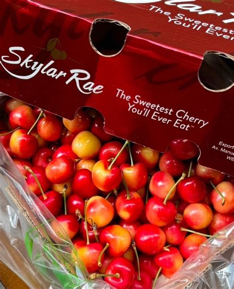 台一鮮蔬果 2025 12 24 全台免運【🍒 智利空運草莓白櫻桃｜skylar Rae】 ⚠️ 下單請務必留下電話號碼（小櫻桃會迷路，真