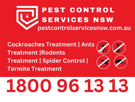Pest Control Sydney Cockroach Termite Rodents And More