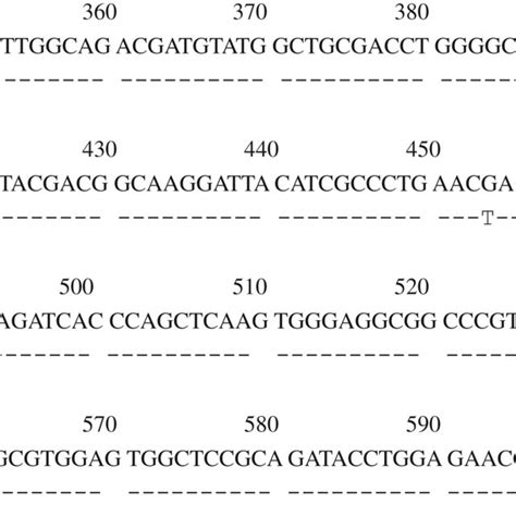 Alignment Of The Exon 3 Sequence Of B13020101 With The Sequence Of