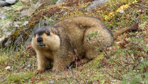 ТАРВАГА АГНАСАН 30 ОРЧИМ ЗӨРЧЛӨӨС 10 НД ХУУЛЬ ХҮЧНИЙ БАЙГУУЛЛАГЫНХАН ХОЛБОГДЖЭЭ