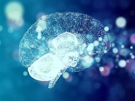 Neuroscientists Weigh In On Spatial Cognition And The Hippocampus Mbrf