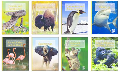 Basic Habitats Diagram 8 1rst2nd Diagram Quizlet