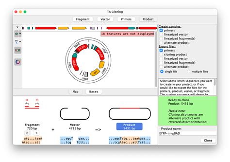 Ta Cloning In Codoncode Aligner Virtual Cloning Tools For Efficient T