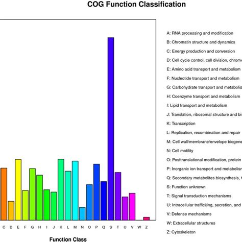 Cluster Of Orthologous Groups Cog Classification Of Protein Functions Download Scientific
