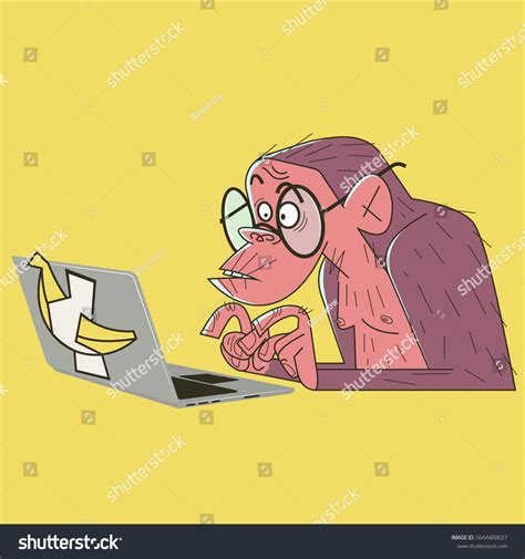 Code Monkey Images Stock Photos Vectors Shutterstock
