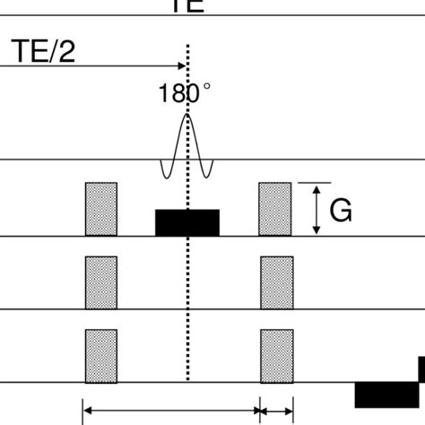 Figure 1 2 Skejskal Tanner Spin Echo Diffusion Imaging Sequence Download Scientific Diagram