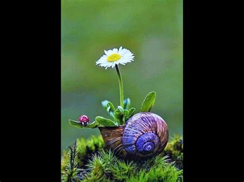 Подробный видеоурок рисование этюда акварелью Уроки рисования и дизайна ВКонтакте