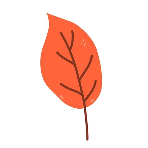 가을 오렌지 잎 흰색 배경에 고립 손으로 그린 평면 그림 프리미엄 벡터