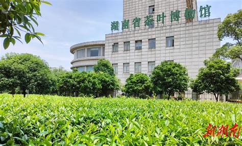 湖南省茶叶博物馆入选湖南省科普教育基地 湘茶热点 新湖南