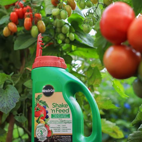 Miracle Gro Shaken Feed Tomato Fruits And Vegetables Plant Food