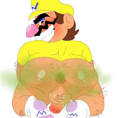 Post 3392760 Super Mario Bros Wario