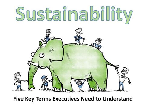 Uma Swamy On Linkedin Sustainablefashion Fastfashion Shein