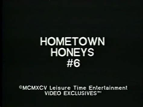 Hometown Honeys 6 Ron Jeremy Leisure Time Entertainment 1995 All