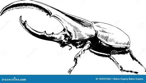 Kissing Bug Chagas Disease Cartoon Vector 147072407