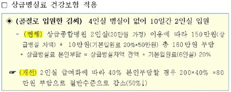 치매국가관리제 본격 시행본인 부담률 10로 감소 노컷뉴스