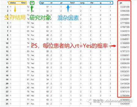 R语言逆概率处理加权iptw 贪吃的夜猫子