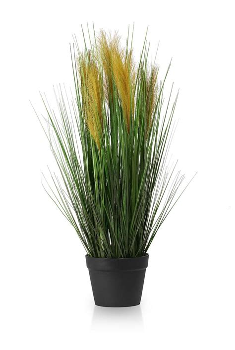 Buy Artificial Reed Grass Online Plantshopme Uae