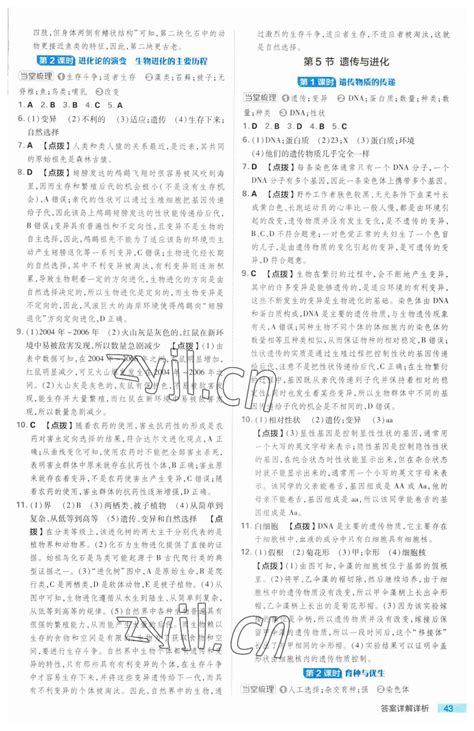 2023年综合应用创新题典中点九年级科学全一册浙教版浙江专版答案——青夏教育精英家教网——