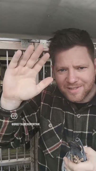 اینم از کبوتر المانی Youtube