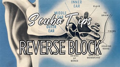 Scuba Diving And Reverse Block According To A Scuba Instructor