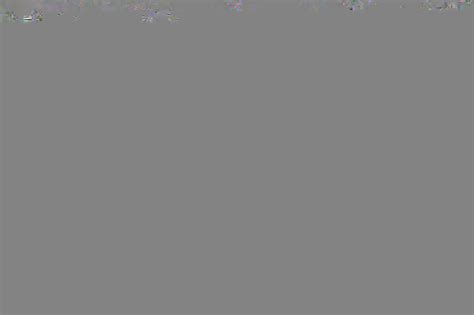 Mandy I C Boab Yellow Eporner