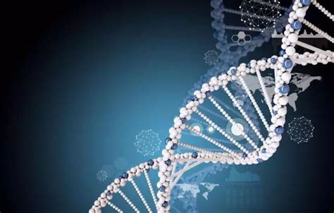 英科学家研究称可基于DNA评估预期寿命 凤凰网