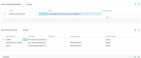 Permissions In Microsoft Dynamics 365 Business Central Tensoft