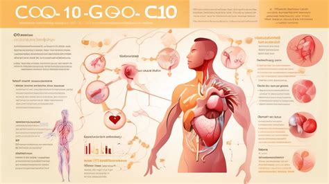 Understanding Coq10 Deficiency Symptoms Risks And Prevention Just