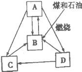 A B C D