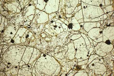 Picrite Isle Of Skye Scotland Thin Section Microscope Slide Geosec