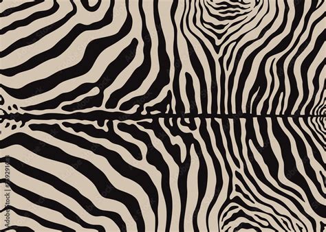 Zebra Pattern Design Zebra Print Vector Illustration Background