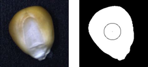 The Centroid And Radius Of The Circle Download Scientific Diagram